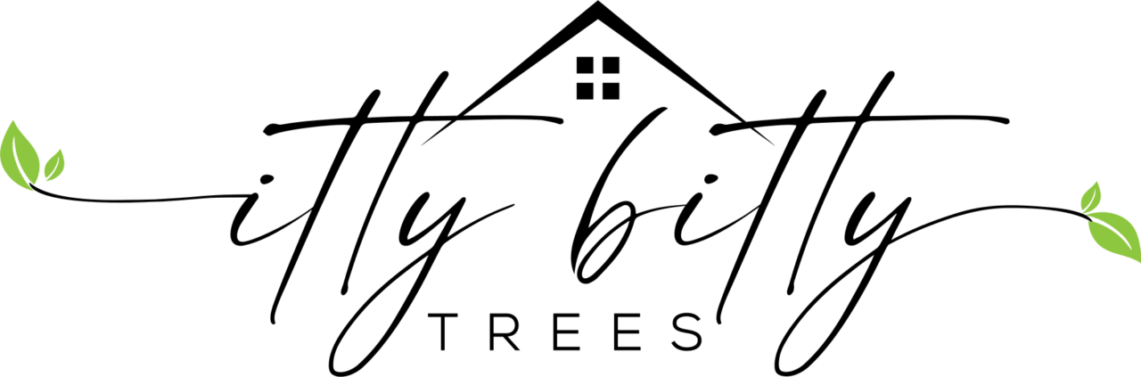 Home - Houseplants and Bonsai in West Tennessee |Itty Bitty Trees